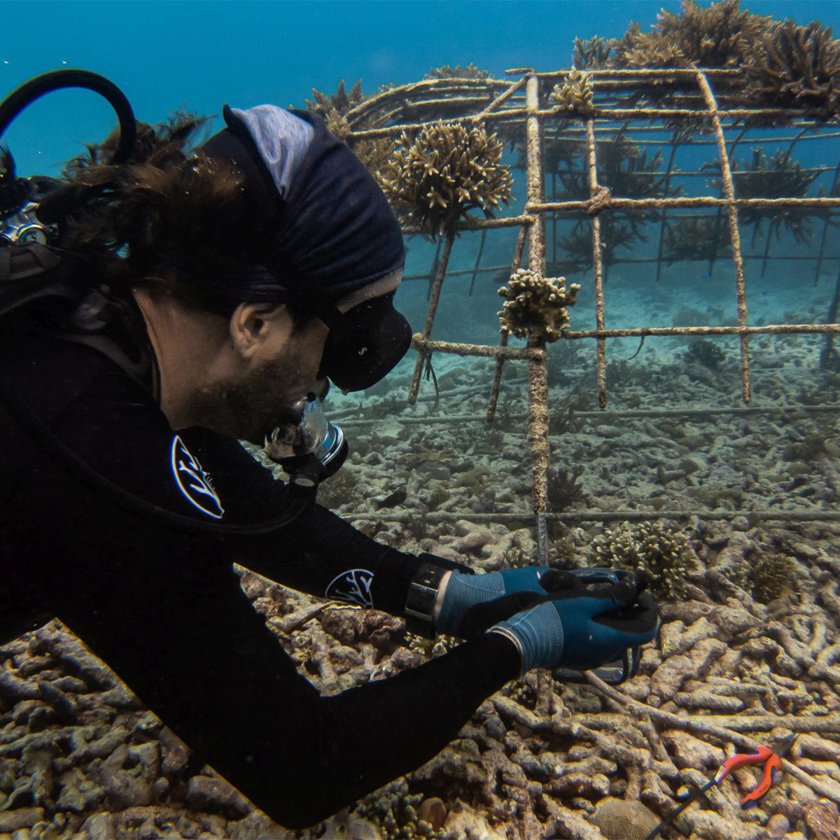 Home Watches and Culture Library Blancpain and Fregate Island Private ...