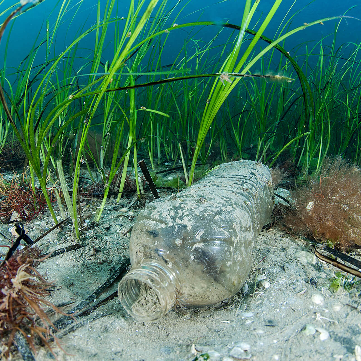 plastic-bottle-ocean